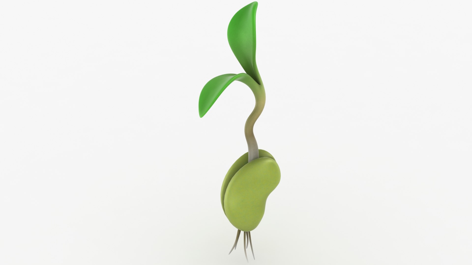 3D model growing seed 02 - TurboSquid 1651538