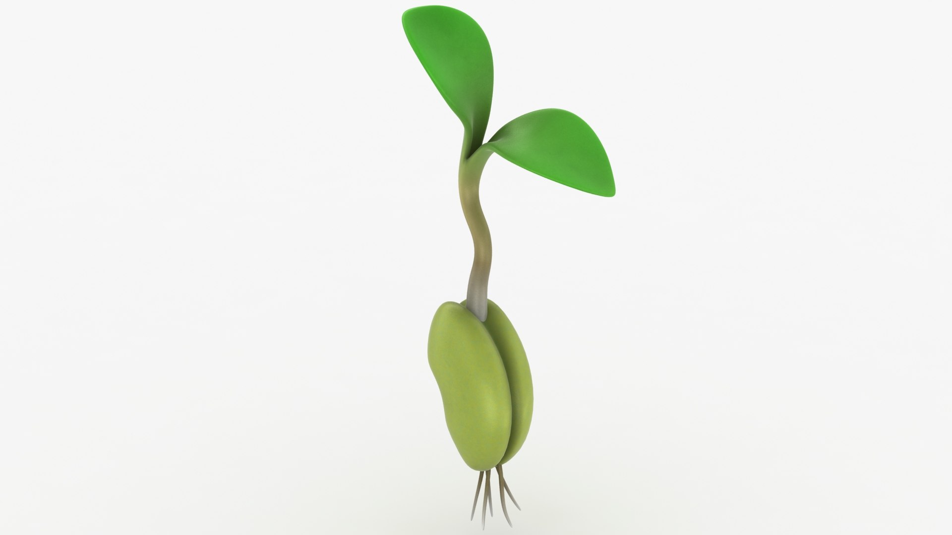 3D model growing seed 02 - TurboSquid 1651538