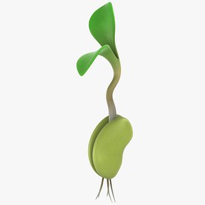 3D Grow Models | TurboSquid