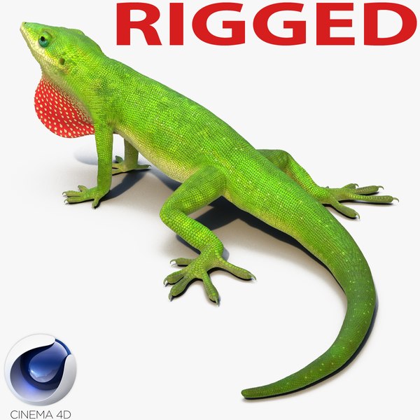 Lizard Rig 3D Models for Download | TurboSquid