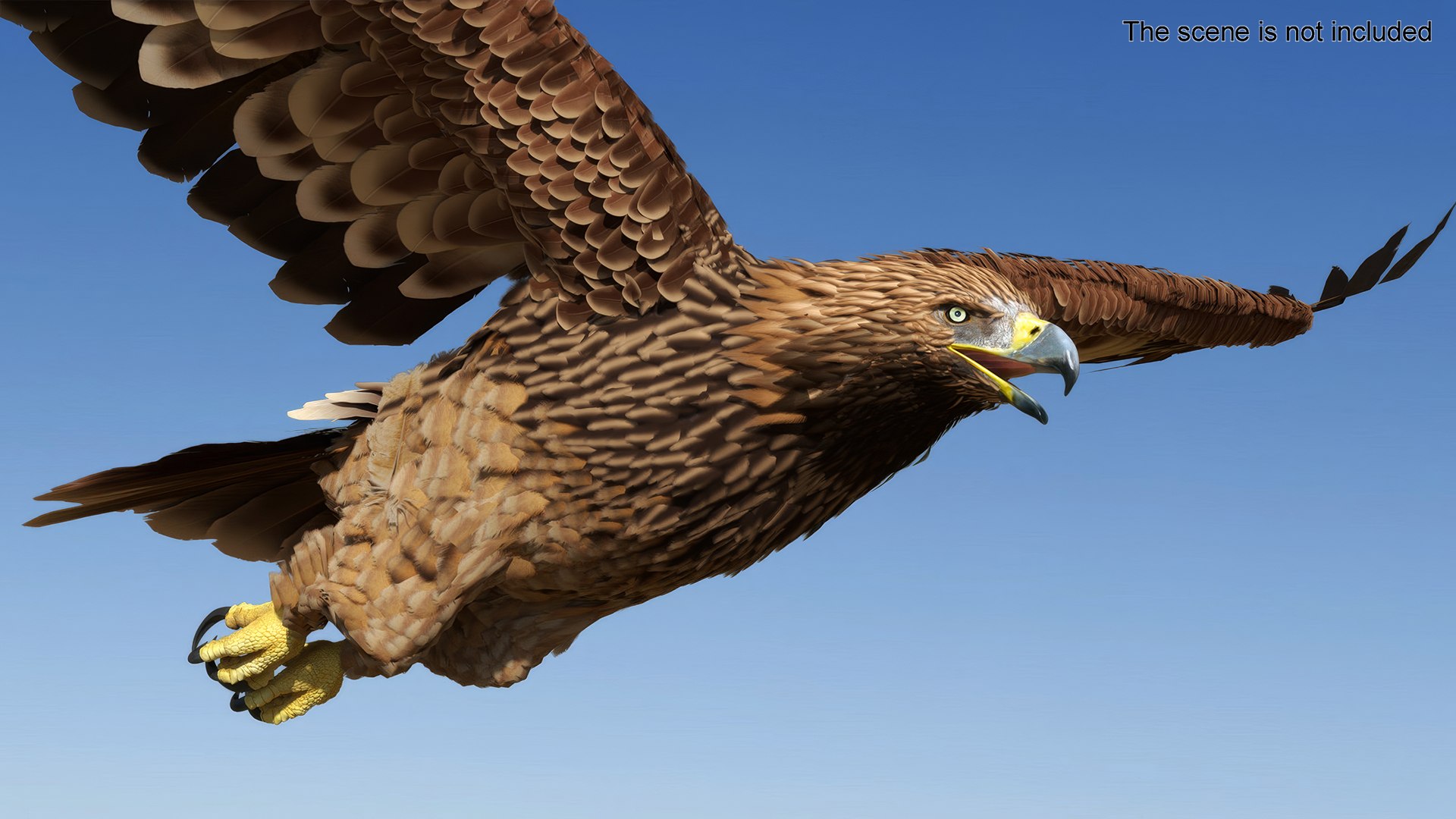 3D Aquila Heliaca Flying - TurboSquid 2250042