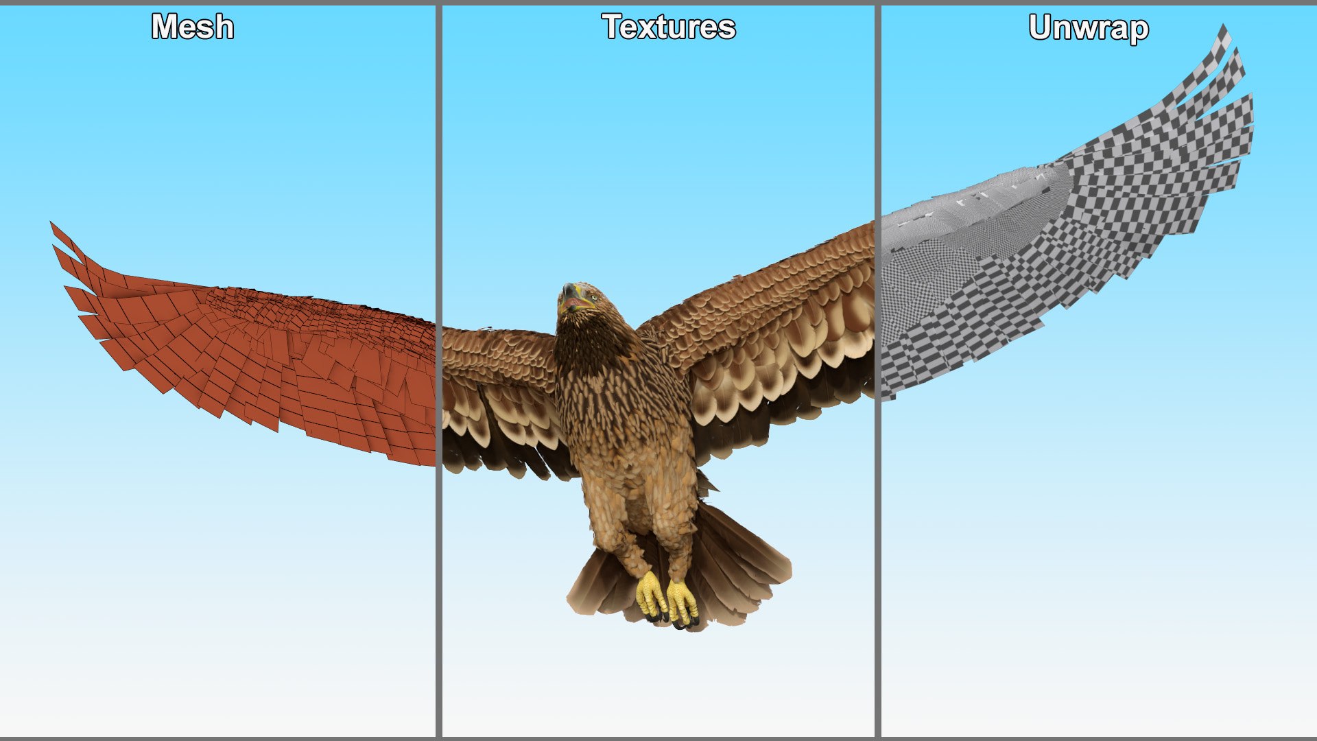 3D Aquila Heliaca Flying - TurboSquid 2250042