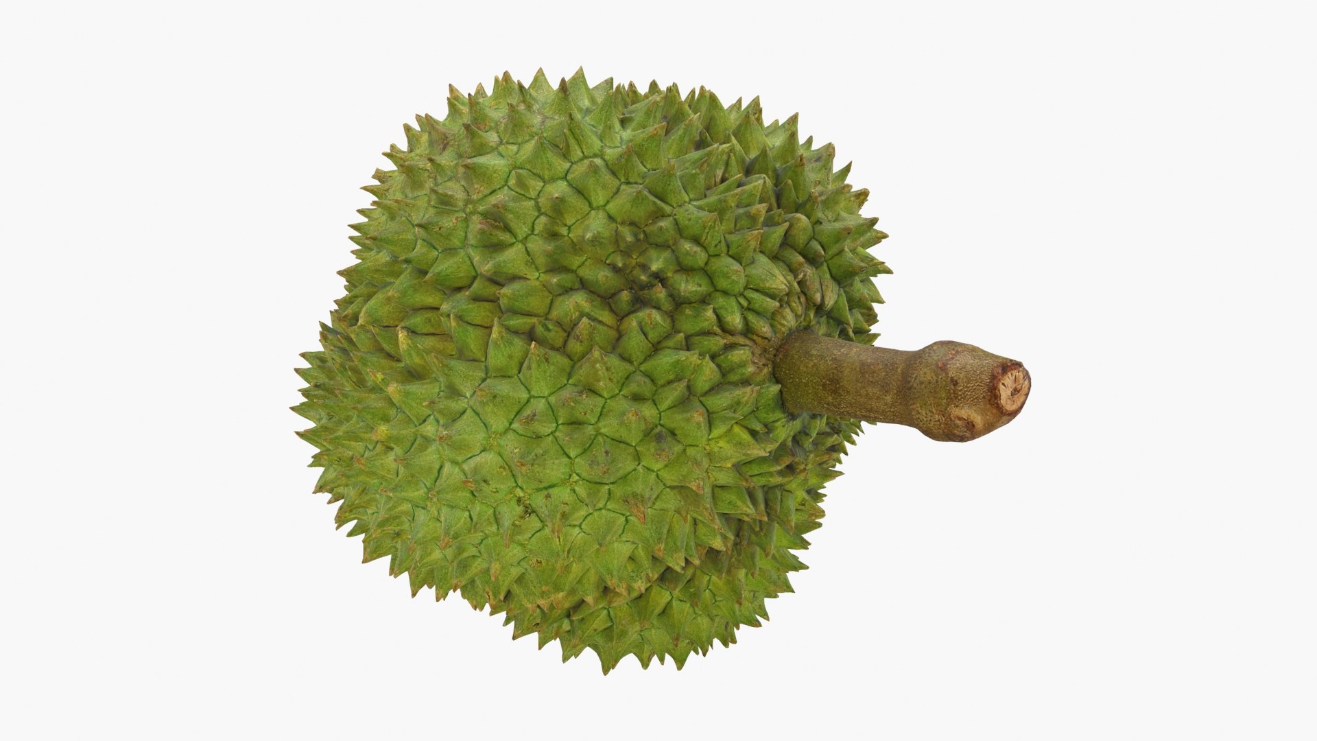 Durian 2 model - TurboSquid 2083449