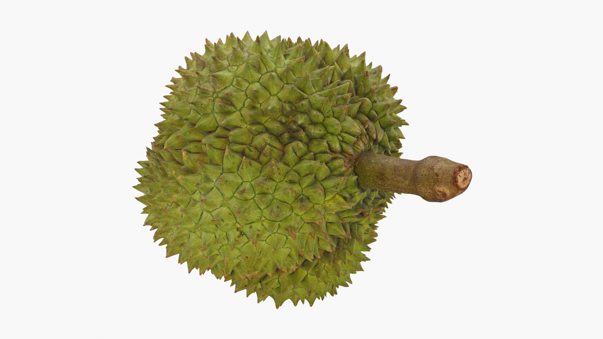 Durian 2 model - TurboSquid 2083449