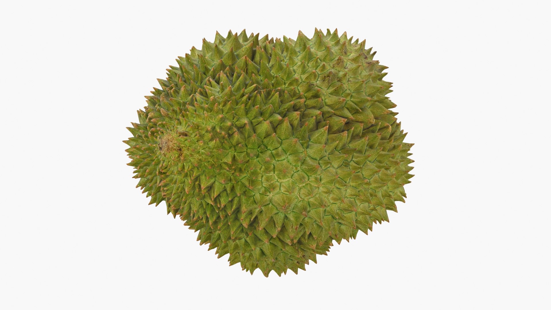 Durian 2 model - TurboSquid 2083449