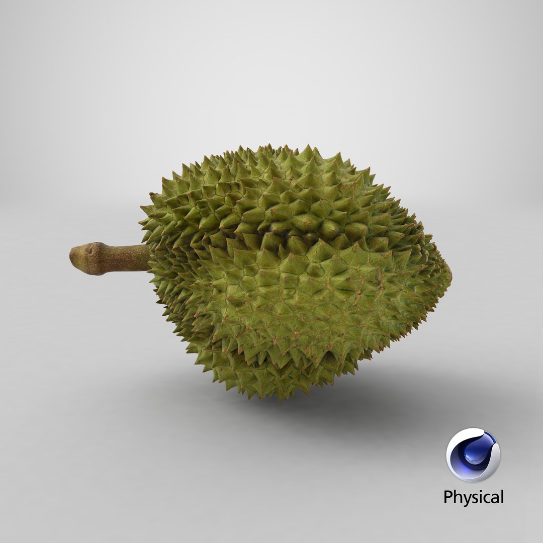 Durian 2 model - TurboSquid 2083449