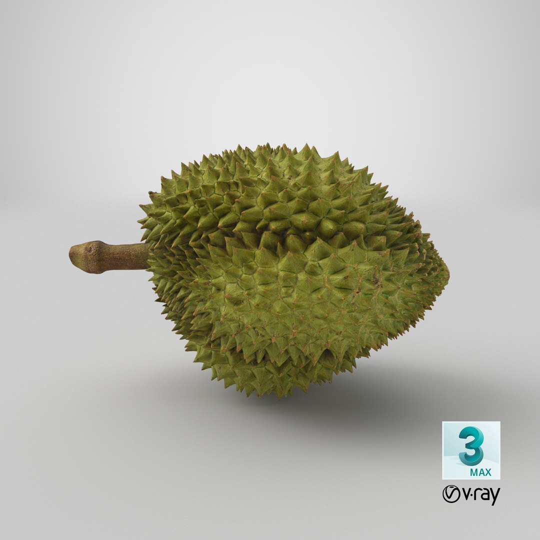 Durian 2 model - TurboSquid 2083449