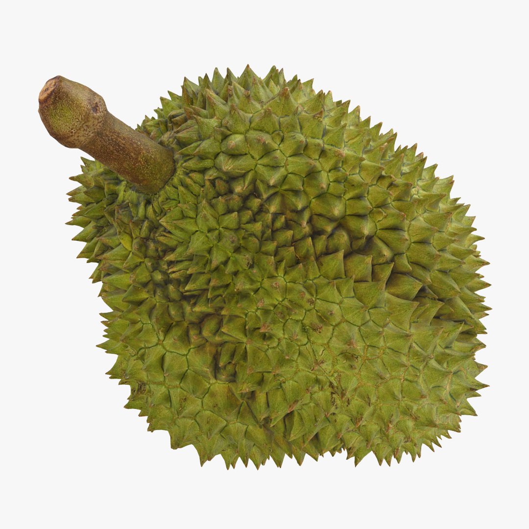 Durian 2 model - TurboSquid 2083449