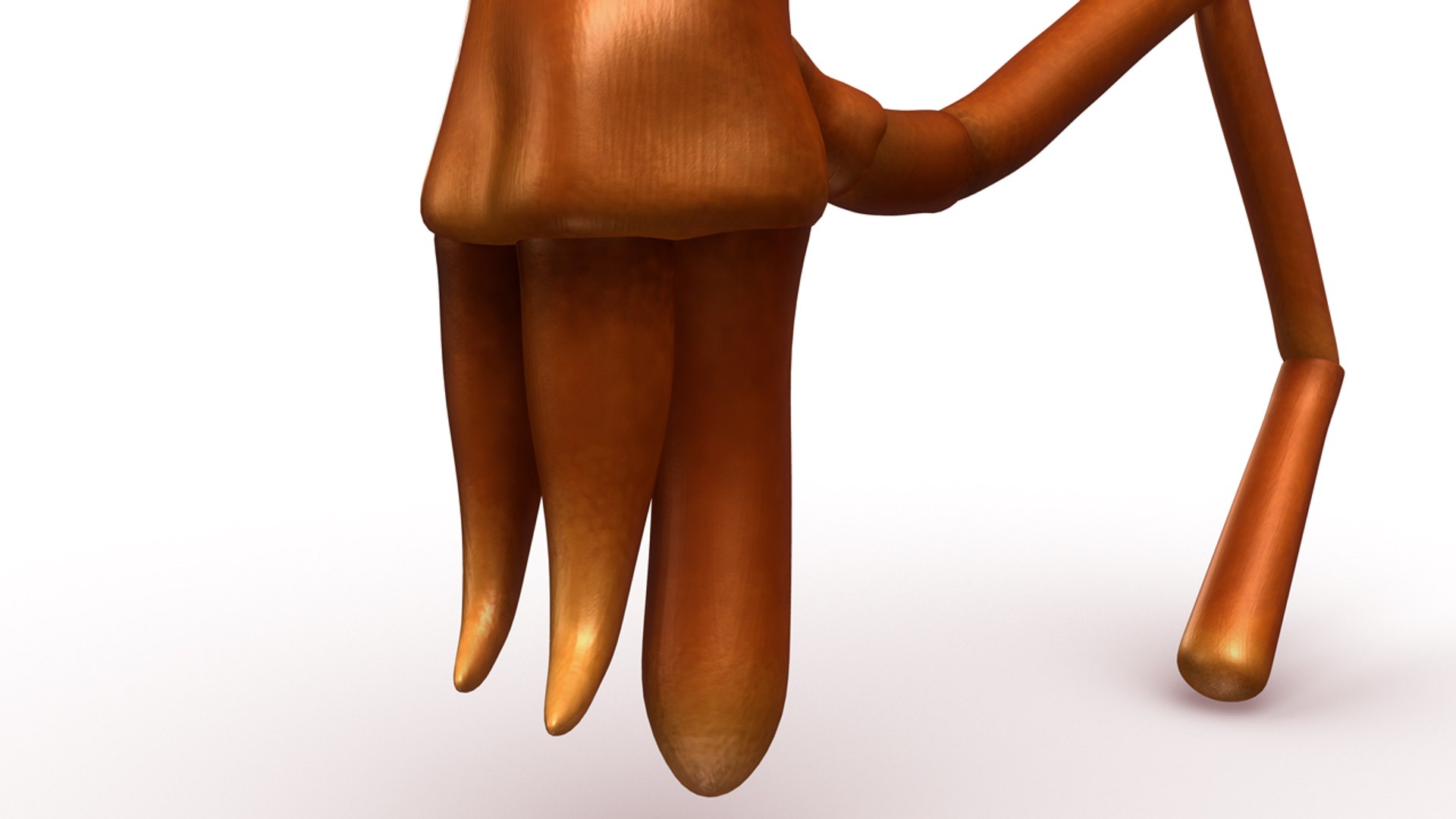 cockroach maxilla 3d ma