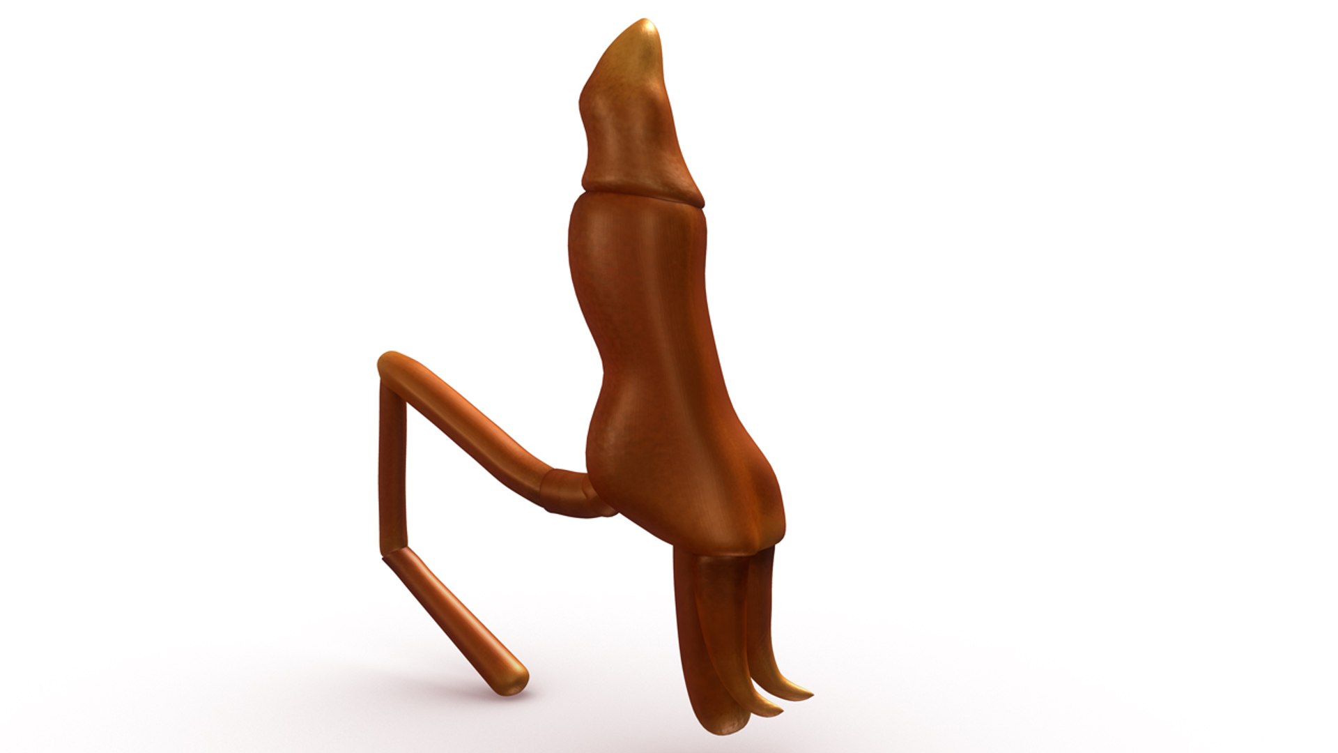 cockroach maxilla 3d ma