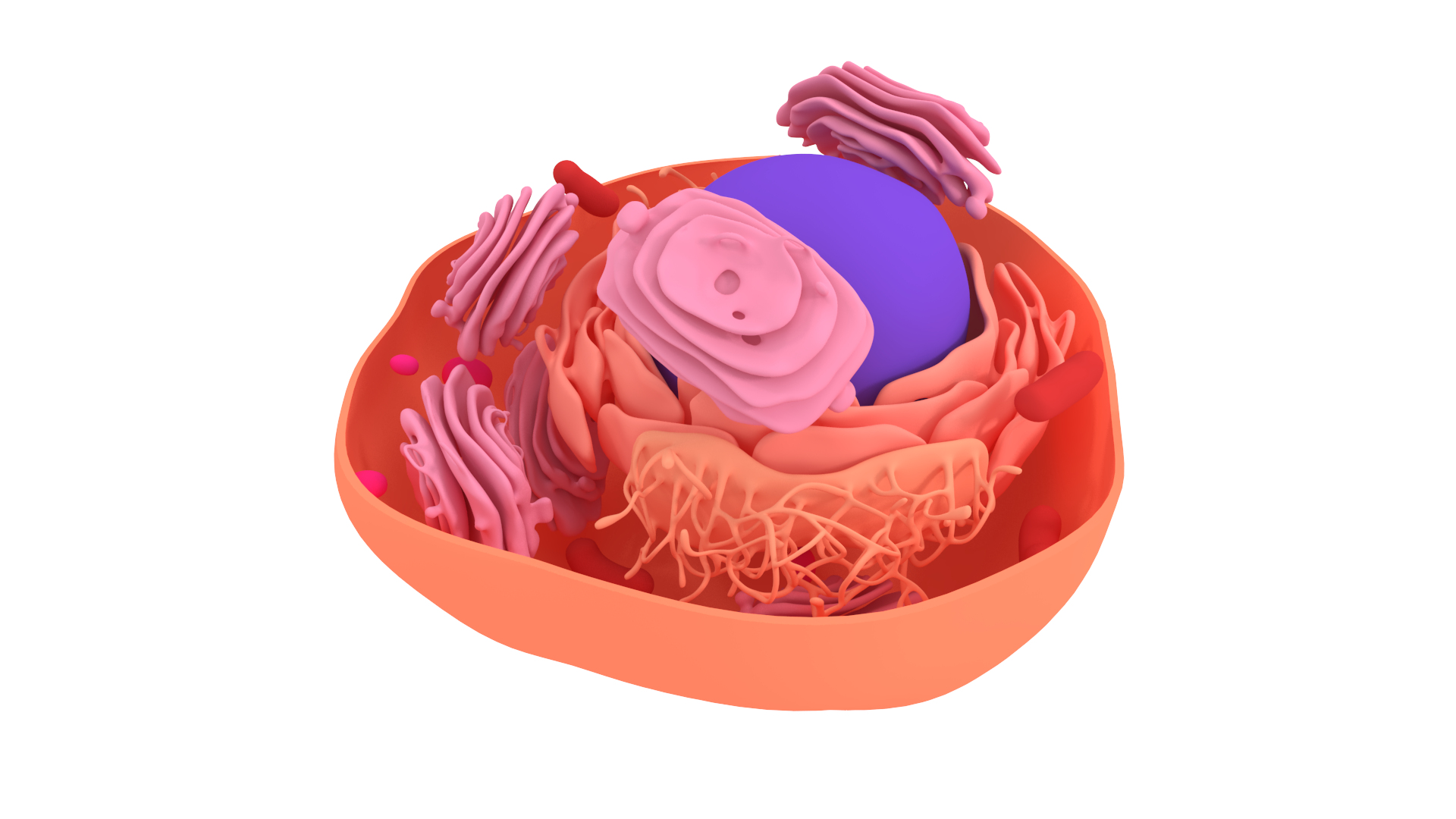Cell Animal 3D Model - TurboSquid 1438761