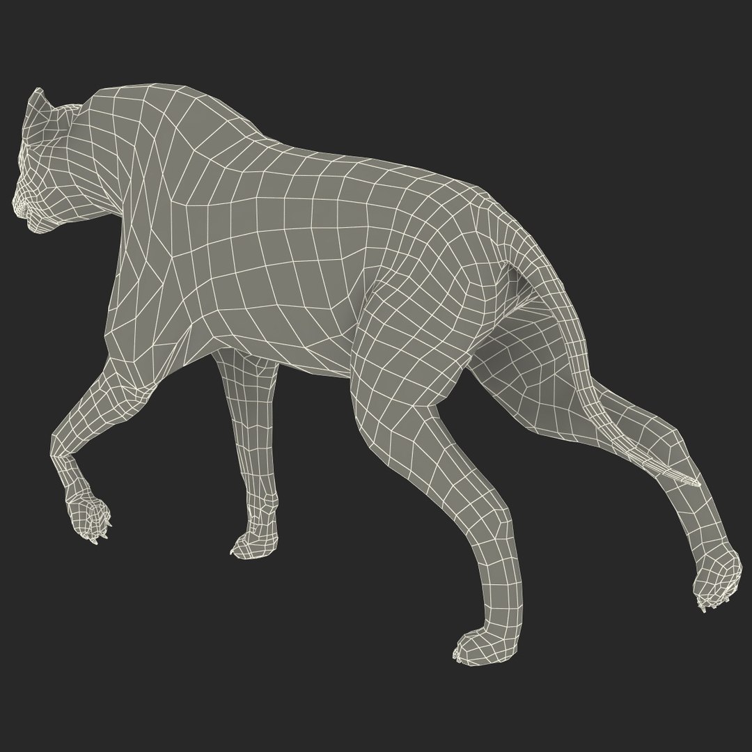 3d Hyena Pose 1