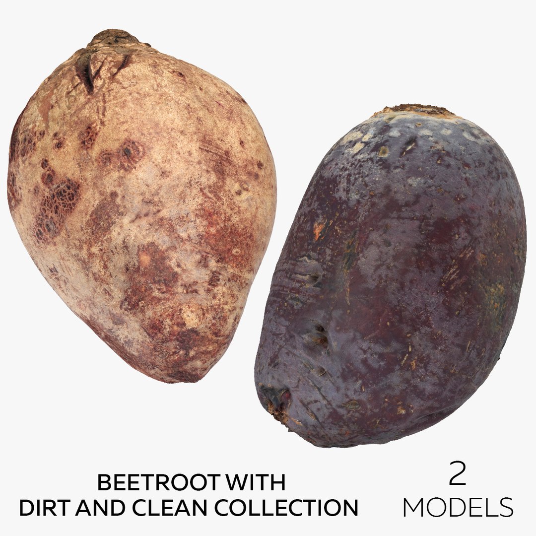 3D Beetroot With Dirt And Clean Collection - 2 Models Model ...