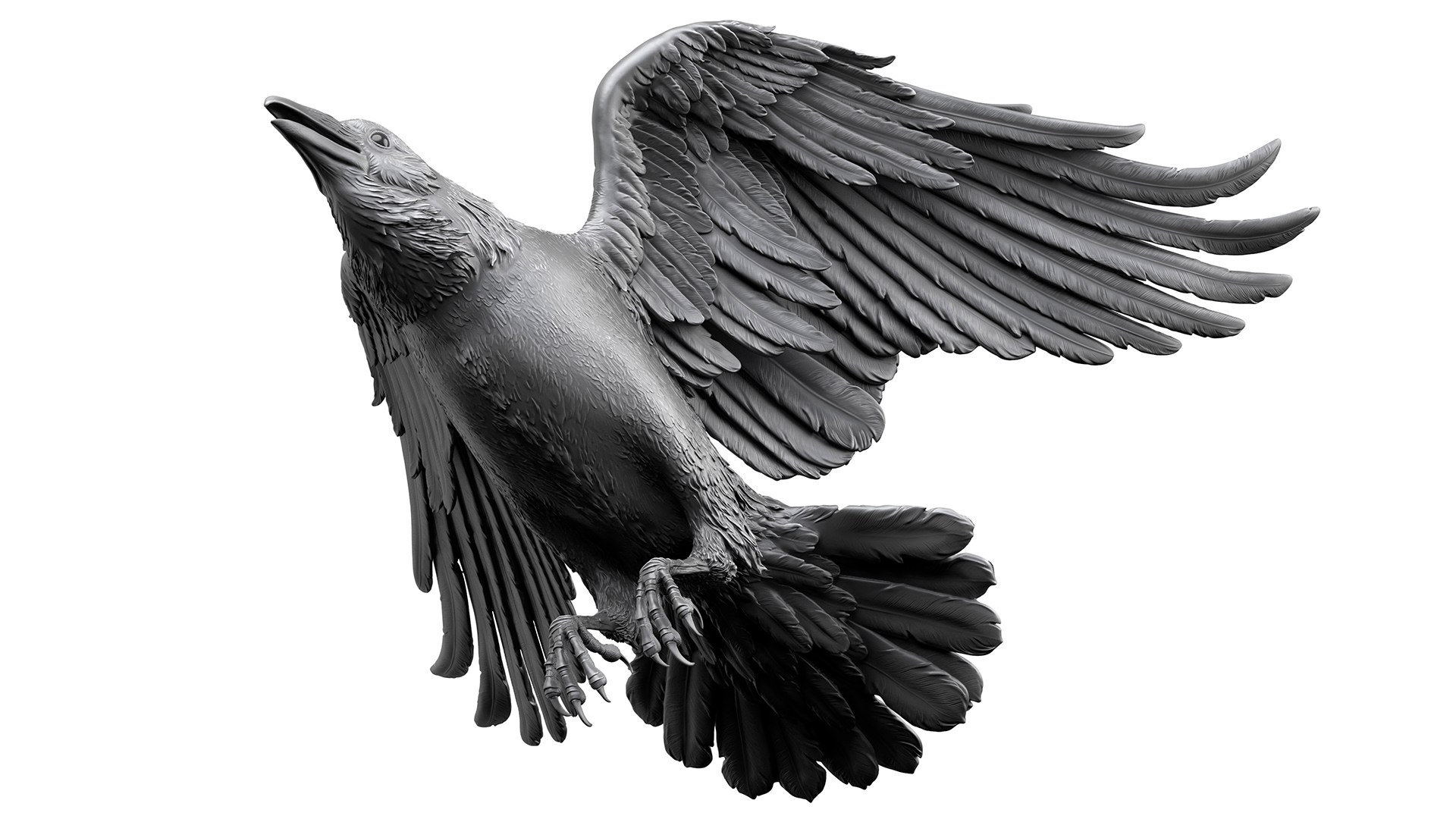 3D Model Fly-Crow I 3D Sculpting - TurboSquid 2339667