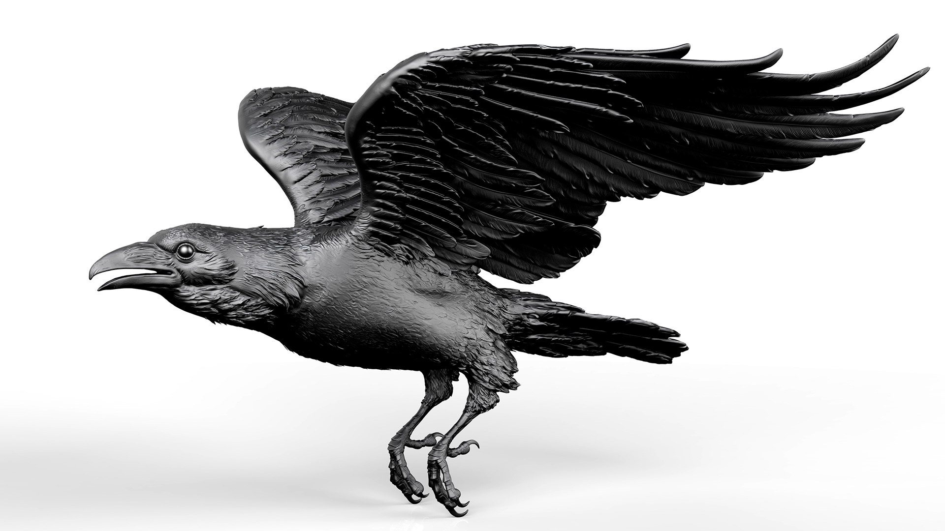 3D Model Fly-Crow I 3D Sculpting - TurboSquid 2339667