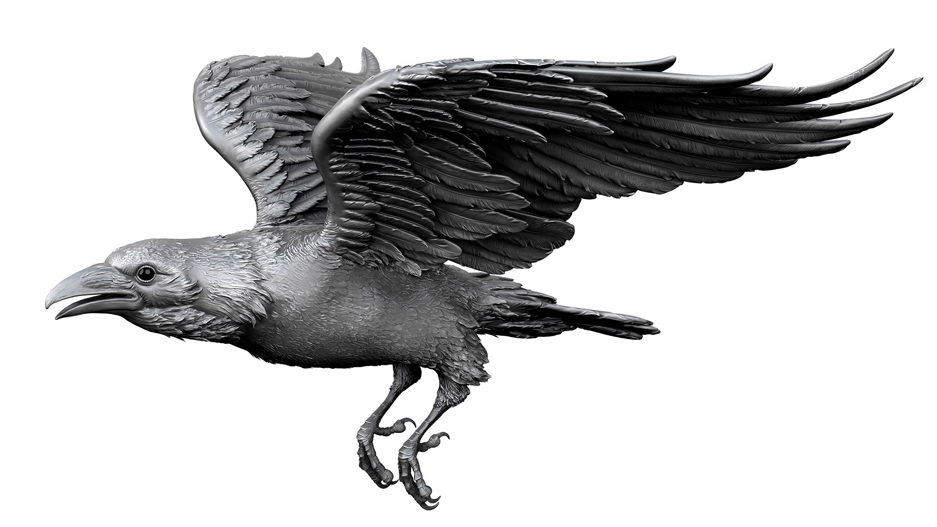3D Model Fly-Crow I 3D Sculpting - TurboSquid 2339667