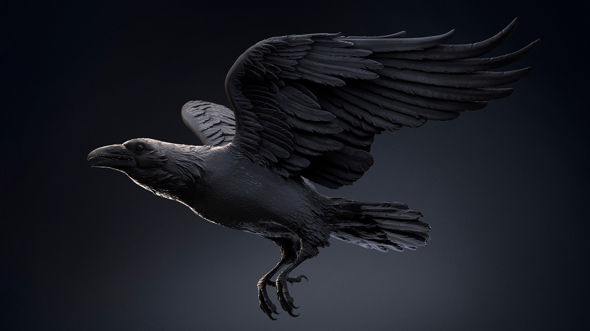 3D Model Fly-Crow I 3D Sculpting - TurboSquid 2339667