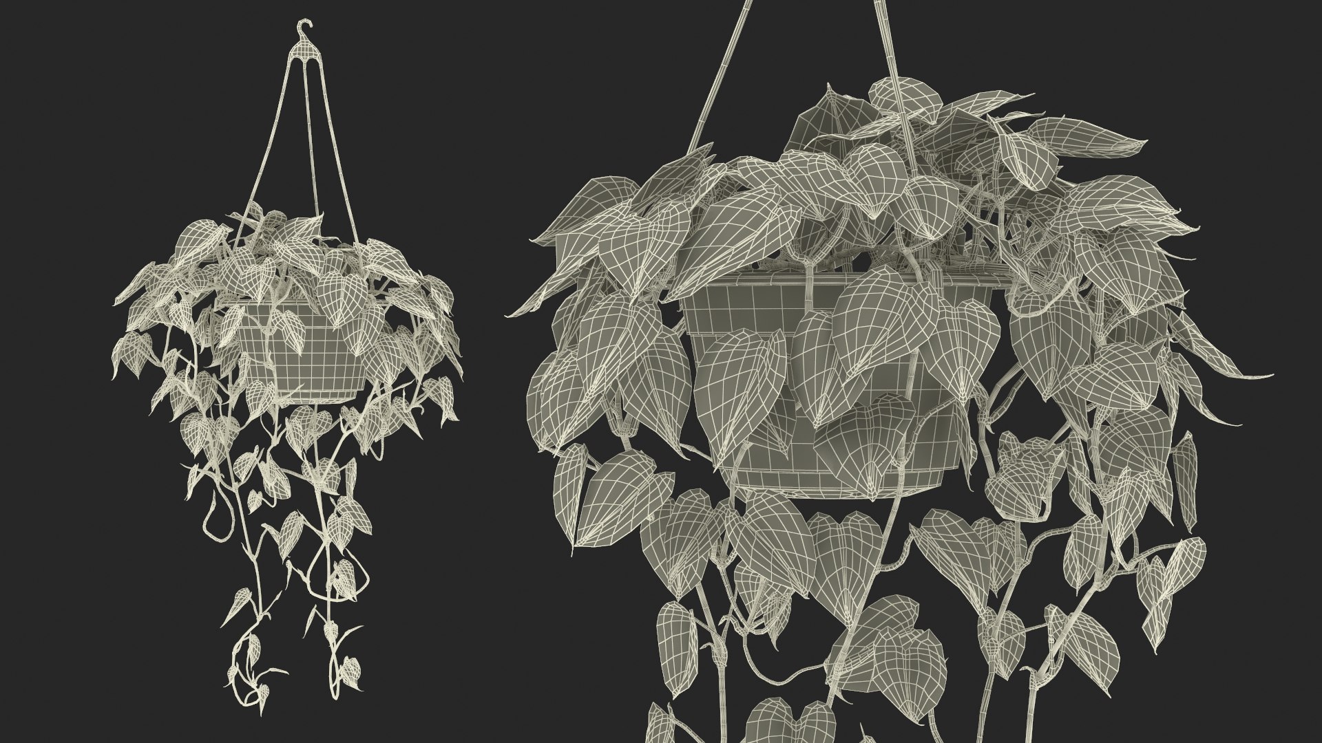 Plant In Hanging Pot 3D Model - TurboSquid 2321015