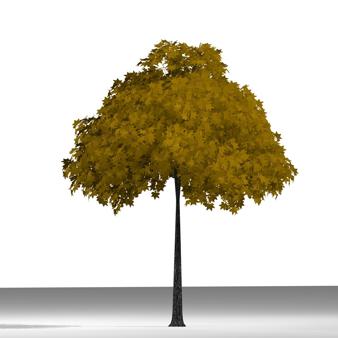 3d Plane Tree