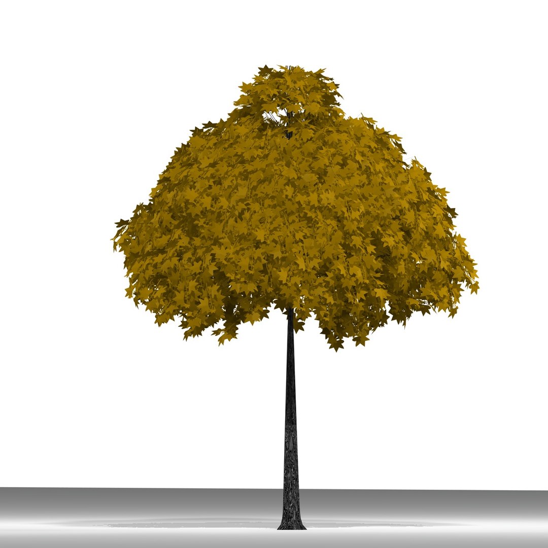 3d Plane Tree