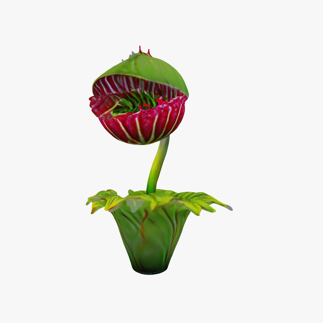 Alien Carnivorous Plant 3D Model - TurboSquid 2278357