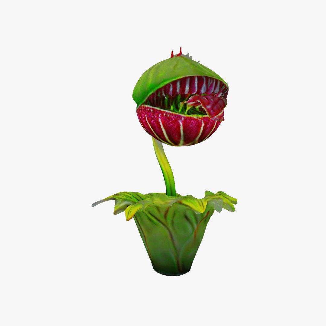 Alien Carnivorous Plant 3D Model - TurboSquid 2278357