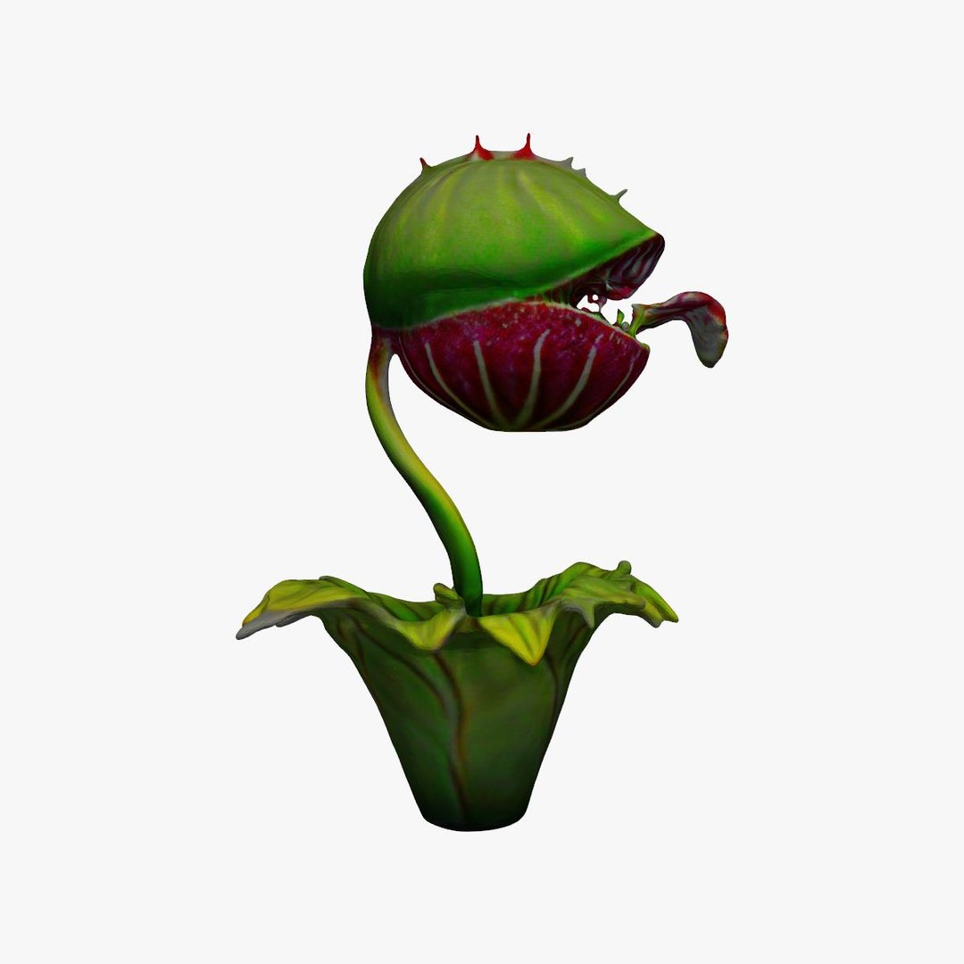 Alien Carnivorous Plant 3D Model - TurboSquid 2278357