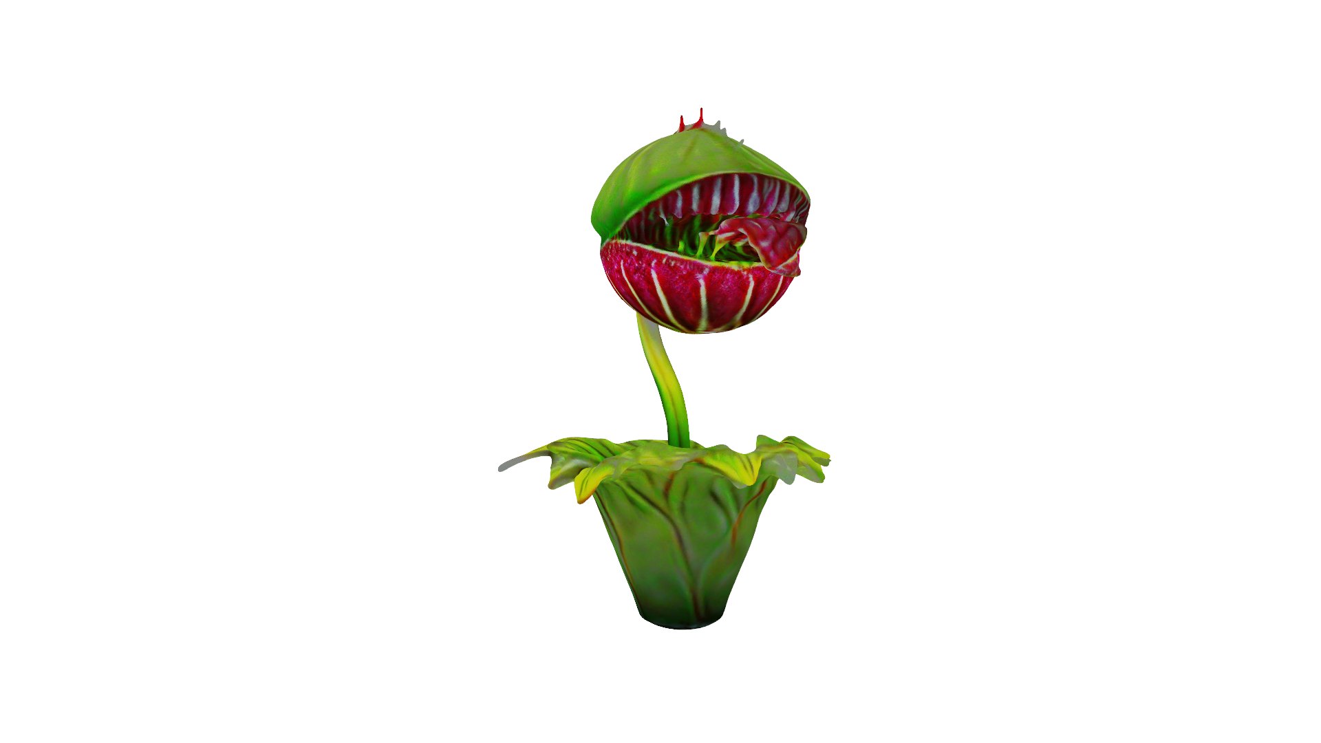 Alien Carnivorous Plant 3D Model - TurboSquid 2278357