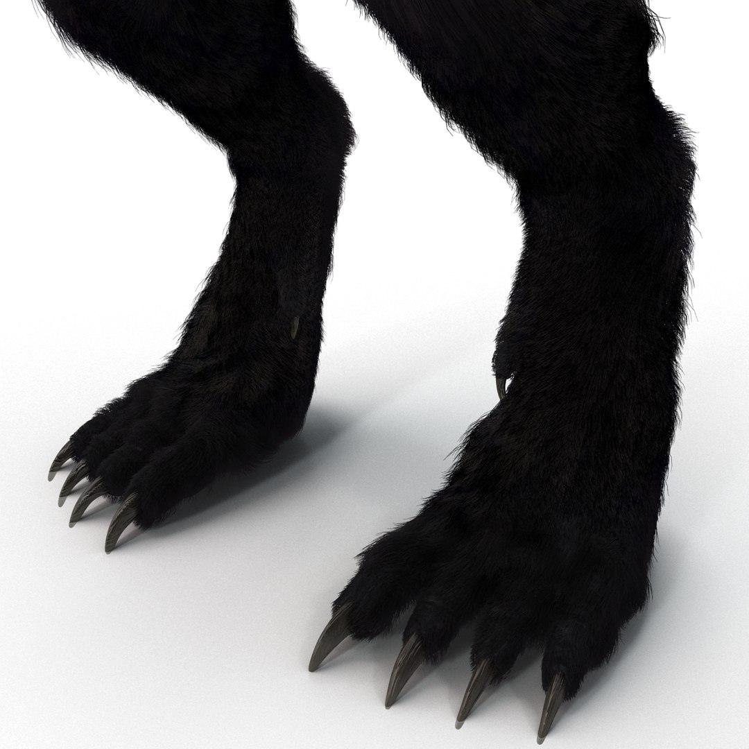 Max Werewolf Fur