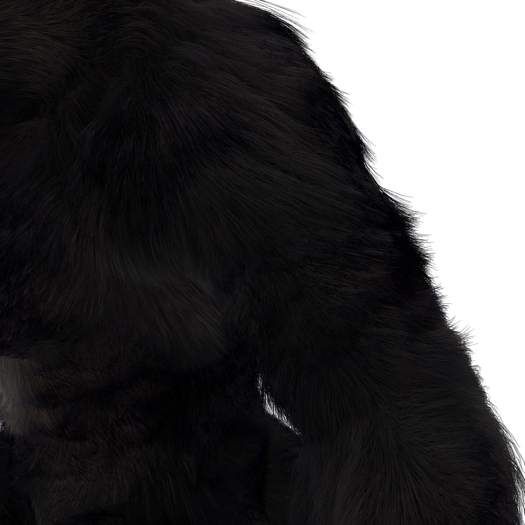 Max Werewolf Fur