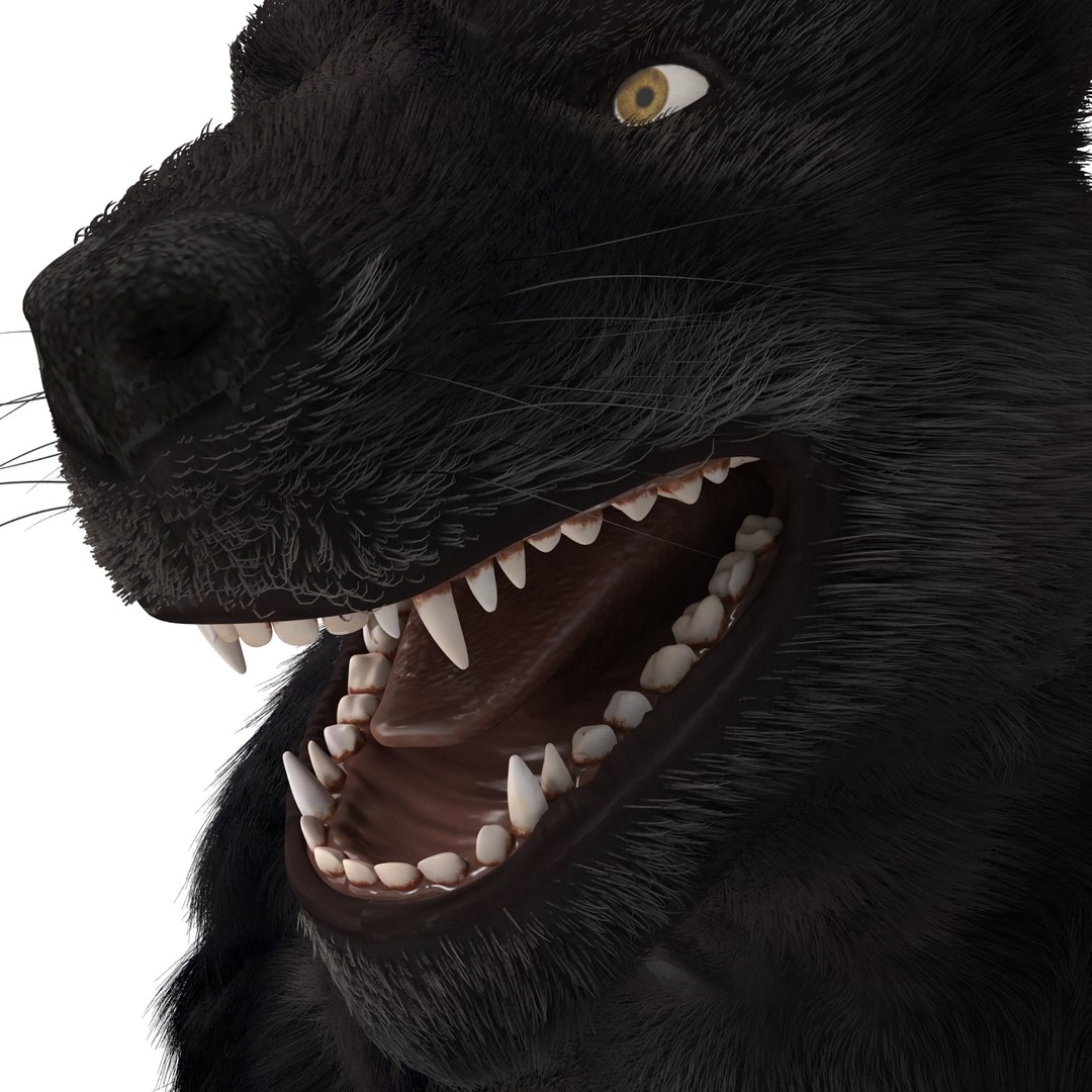 max werewolf fur