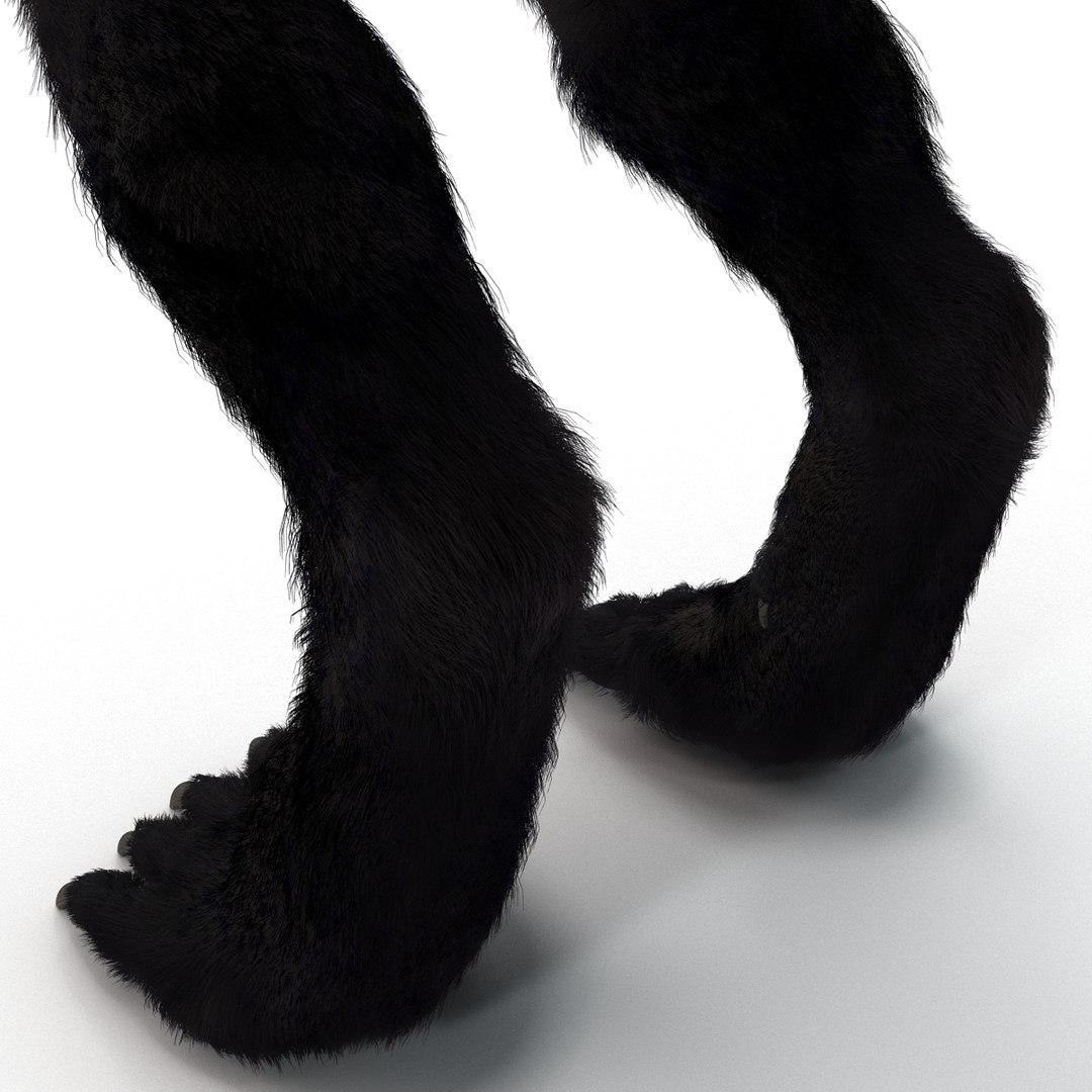 Max Werewolf Fur