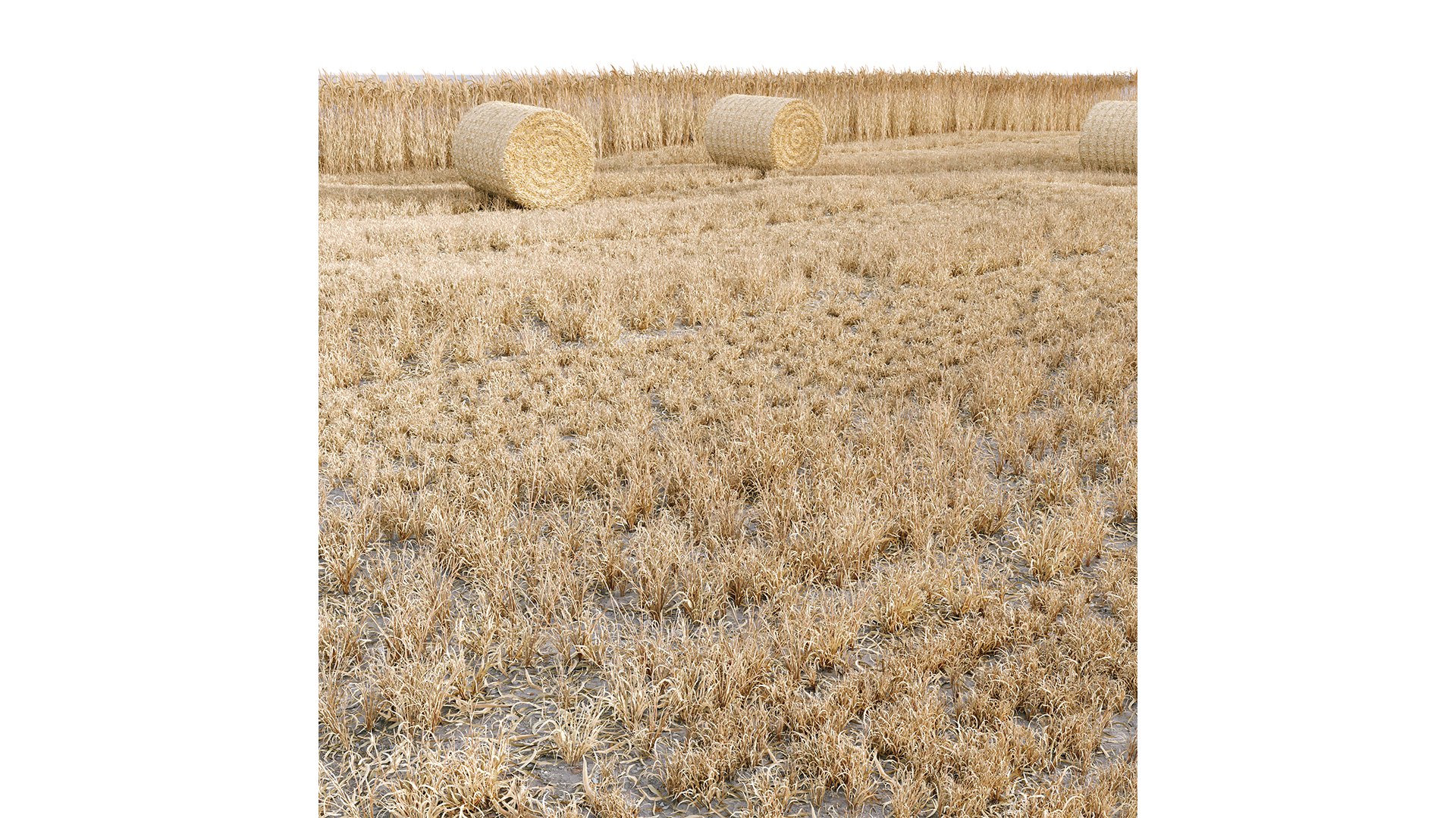 HQ Grass Round Hay Bale Farm Ground 3D - TurboSquid 2144876