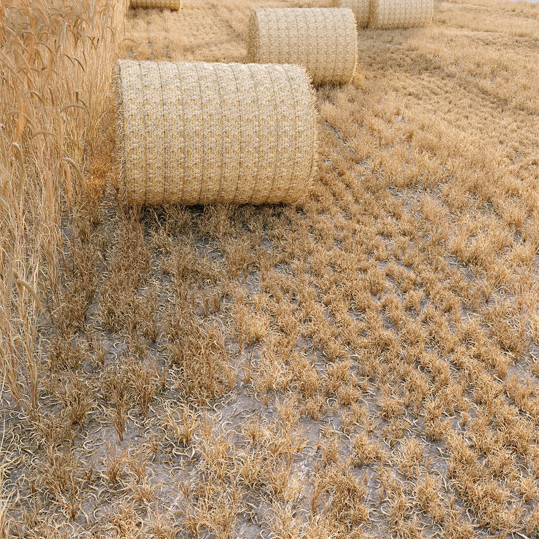 HQ Grass Round Hay Bale Farm Ground 3D - TurboSquid 2144876