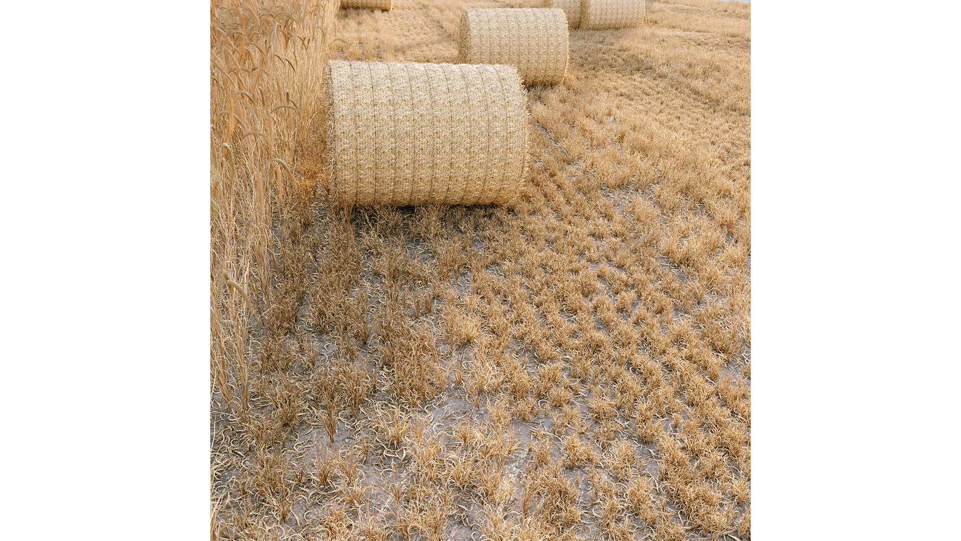HQ Grass Round Hay Bale Farm Ground 3D - TurboSquid 2144876