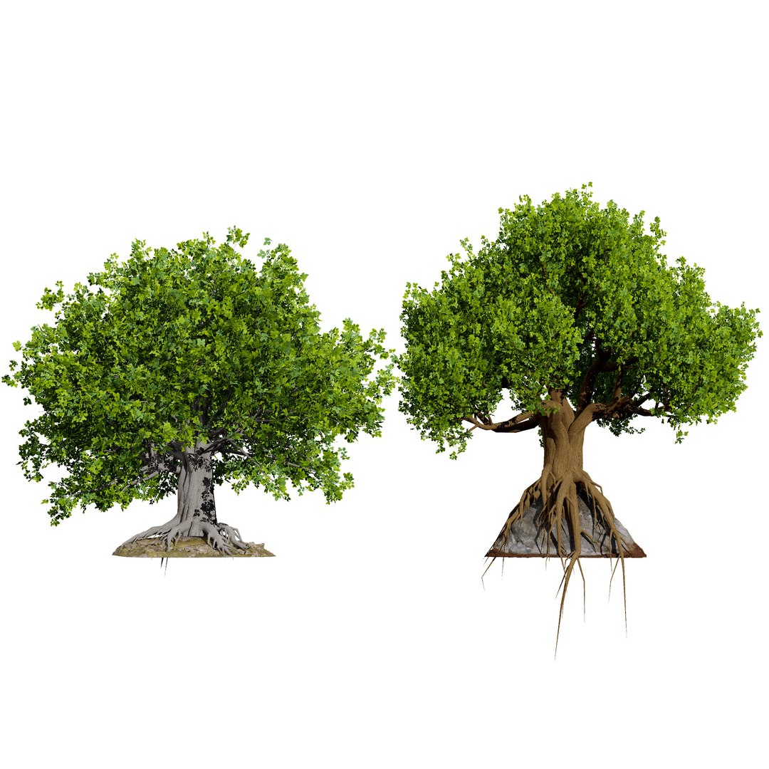 3D Dual World Tree 3D Models Model - TurboSquid 2332035