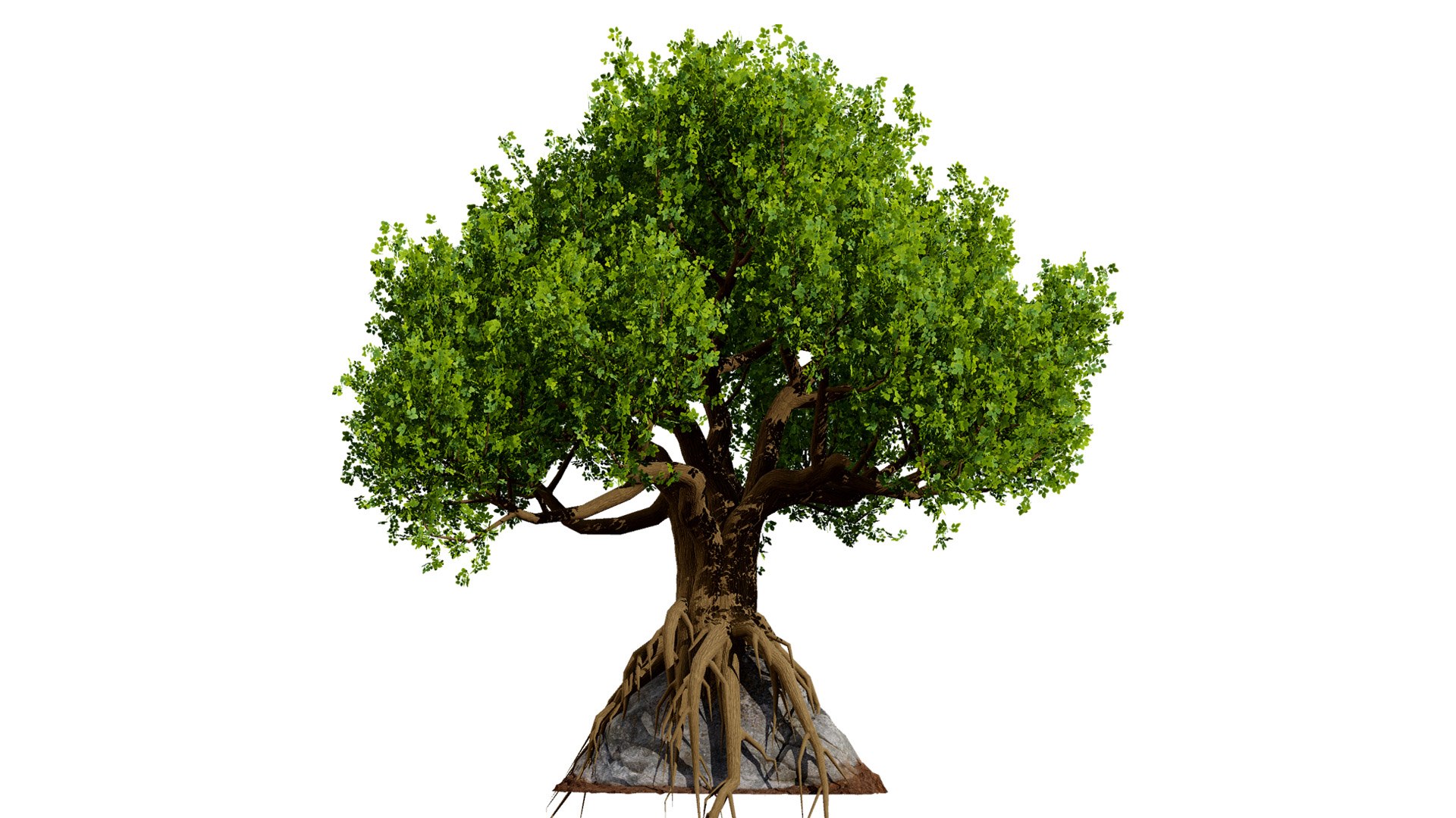 3D Dual World Tree 3D Models Model - TurboSquid 2332035