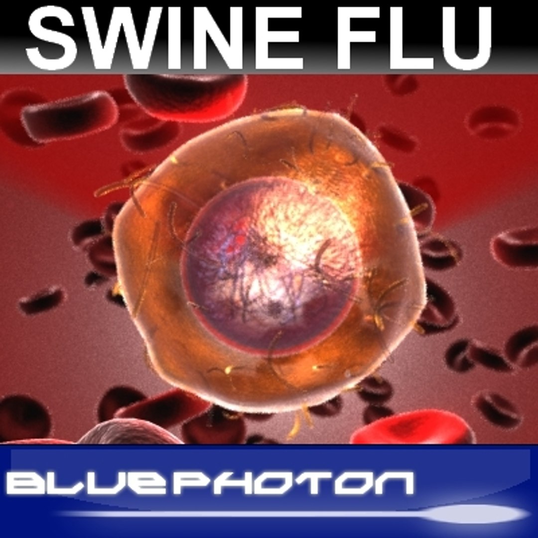 3d swine flu virus model