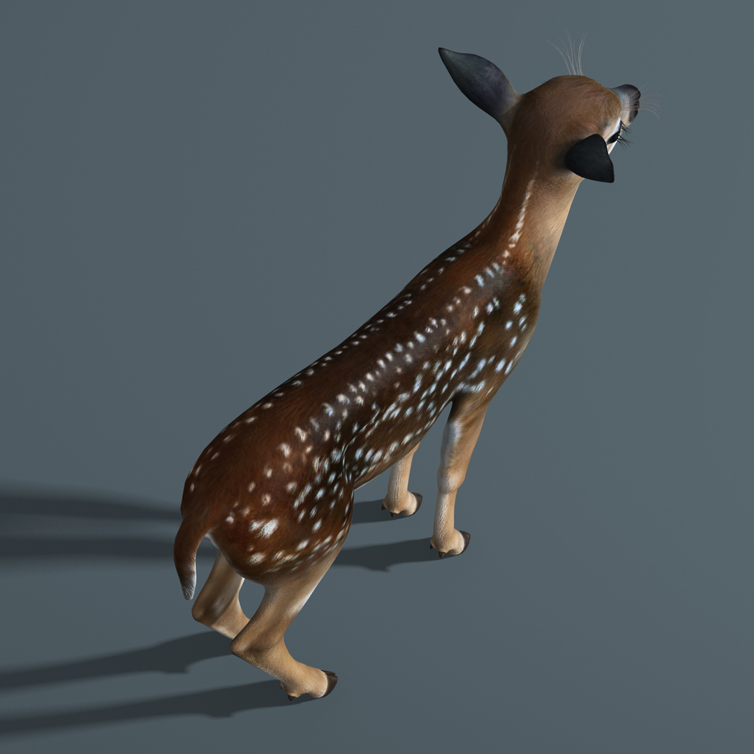 3d fawn baby deer rigged model