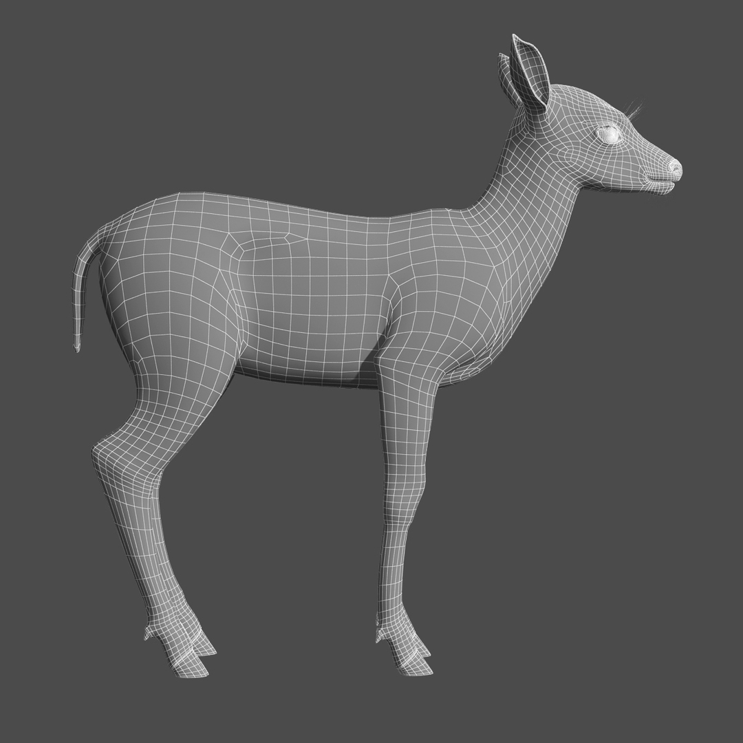 3d fawn baby deer rigged model