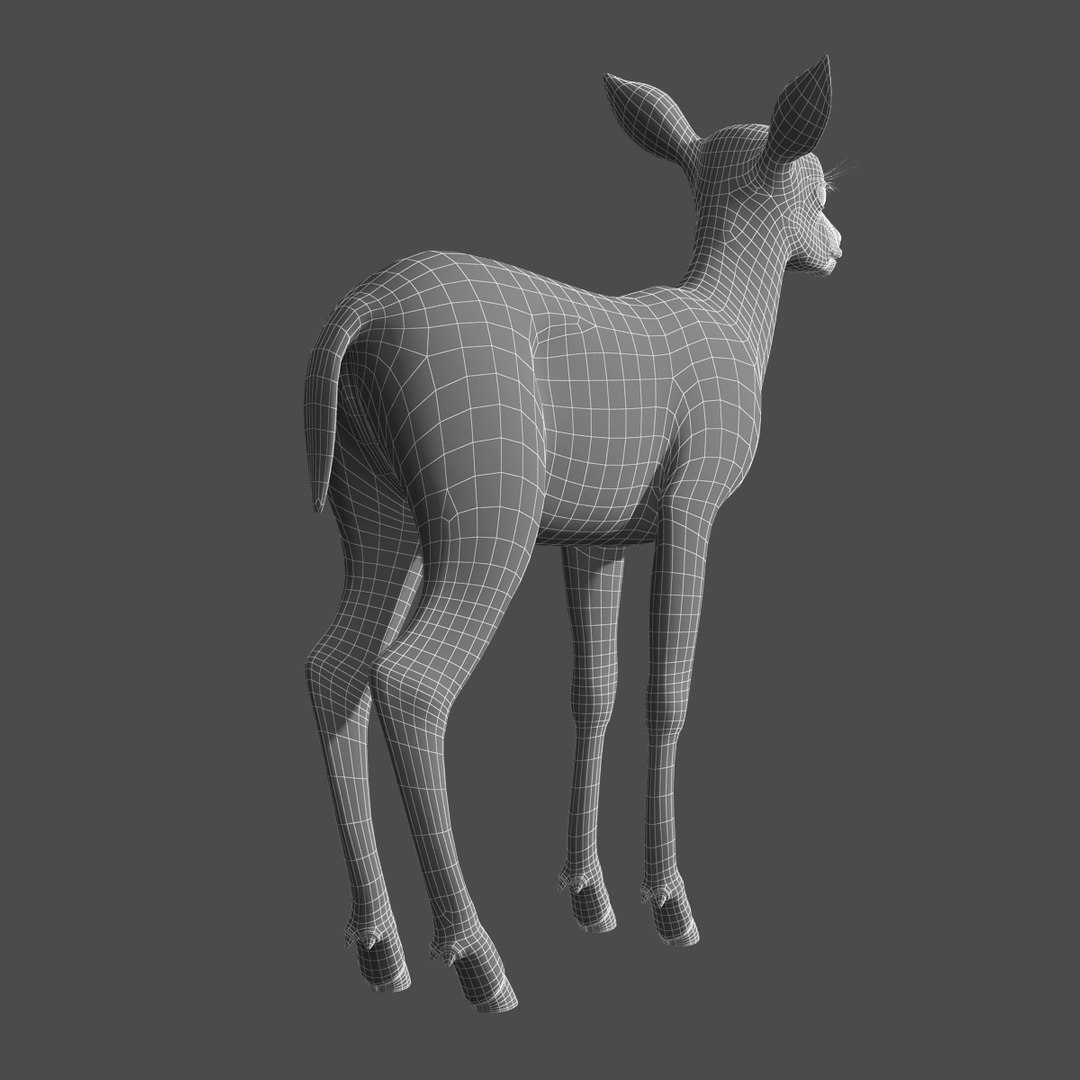 3d Fawn Baby Deer Rigged Model