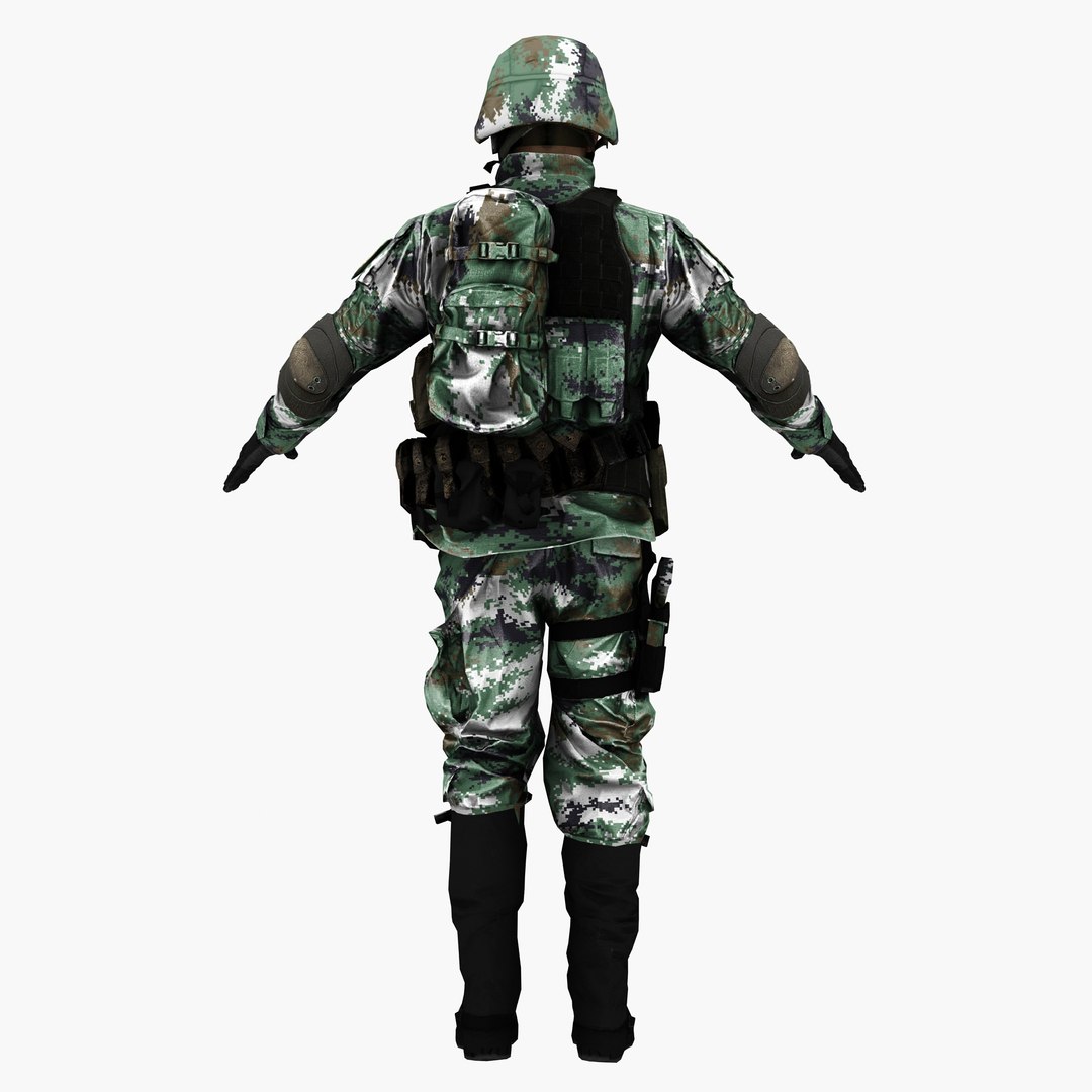 Pla Chinese Soldier 3D Model - TurboSquid 1668807