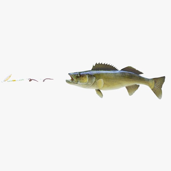 3D walleye animation lure - TurboSquid 1515058