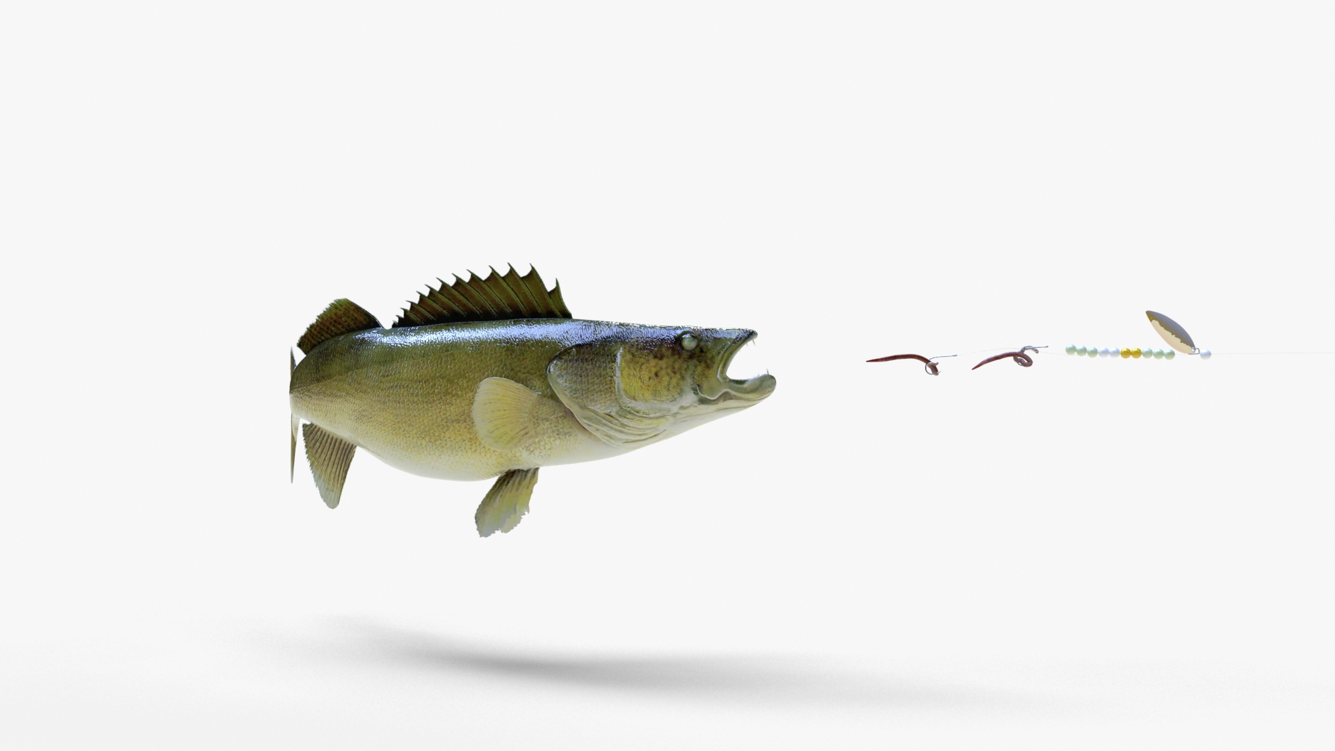 3D Walleye Animation Lure - TurboSquid 1515058