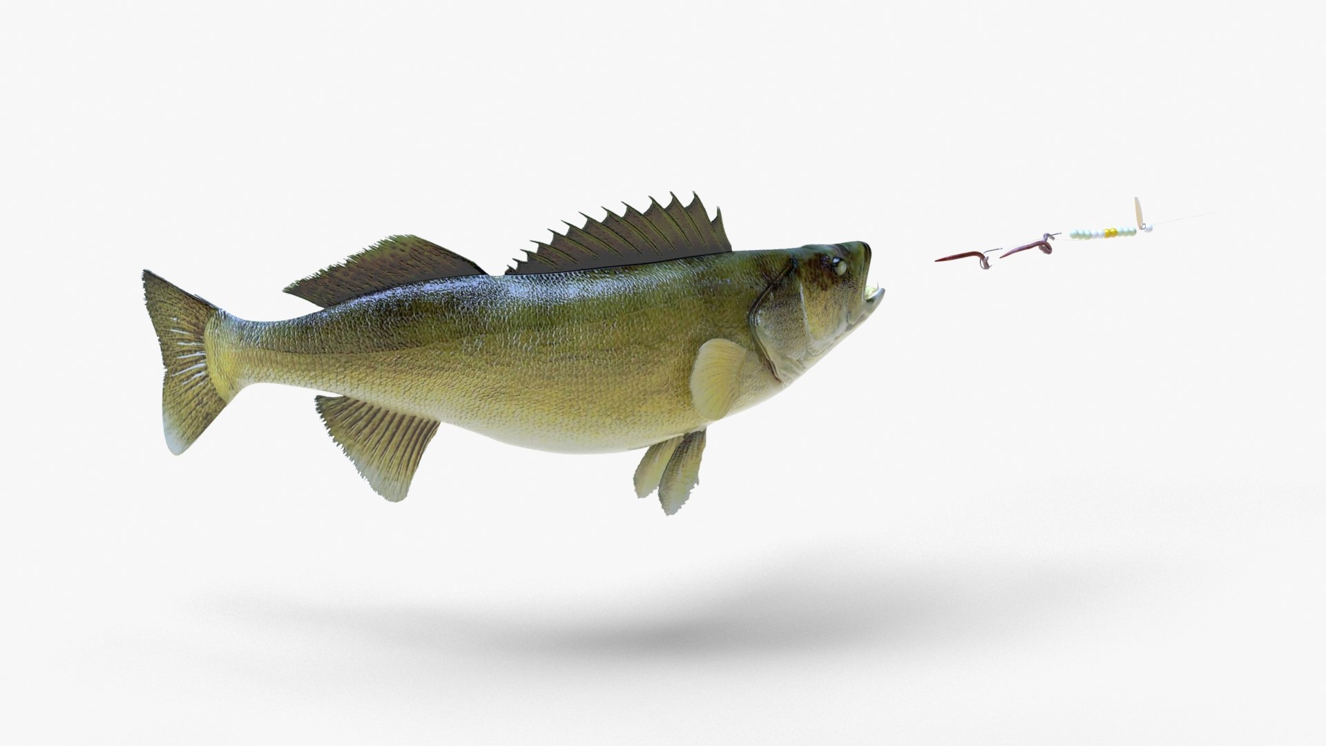 3D Walleye Animation Lure - TurboSquid 1515058