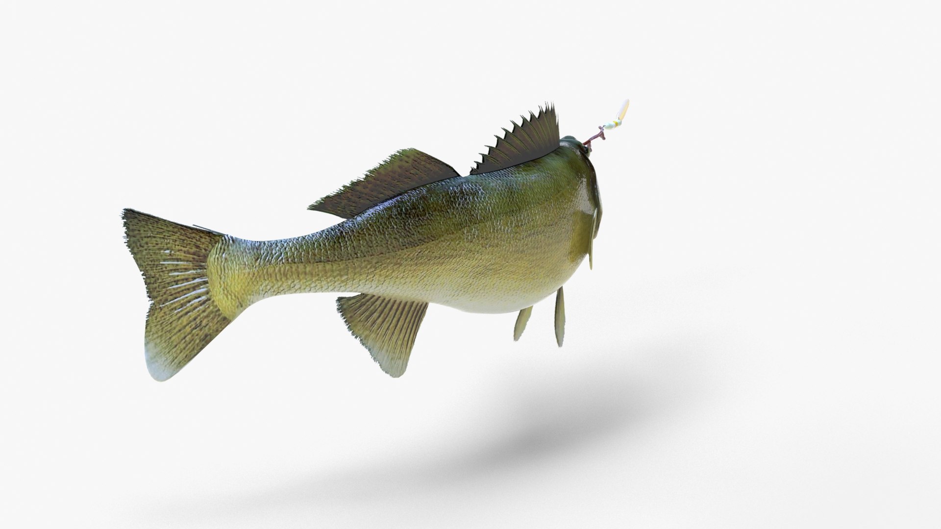 3D Walleye Animation Lure - TurboSquid 1515058