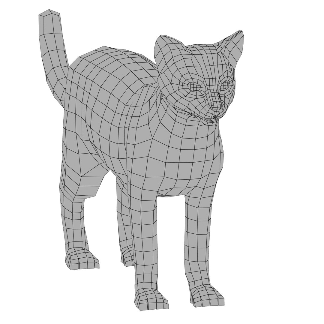 Basemesh Cat 3d Max