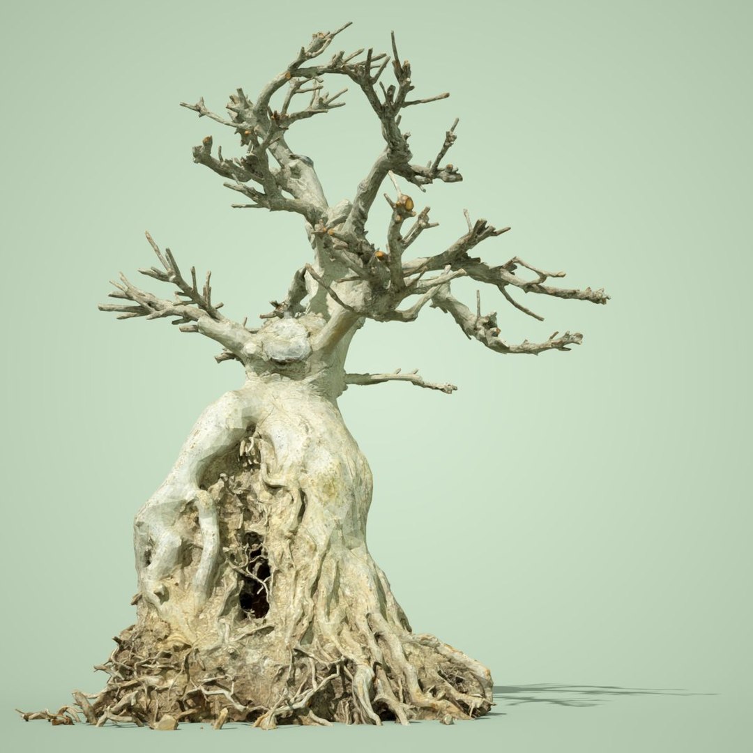 3D Dead Forest Tree Stylised - TurboSquid 1162452