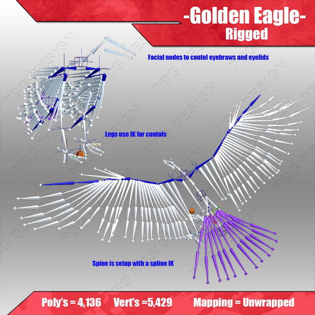 3d Golden Eagle