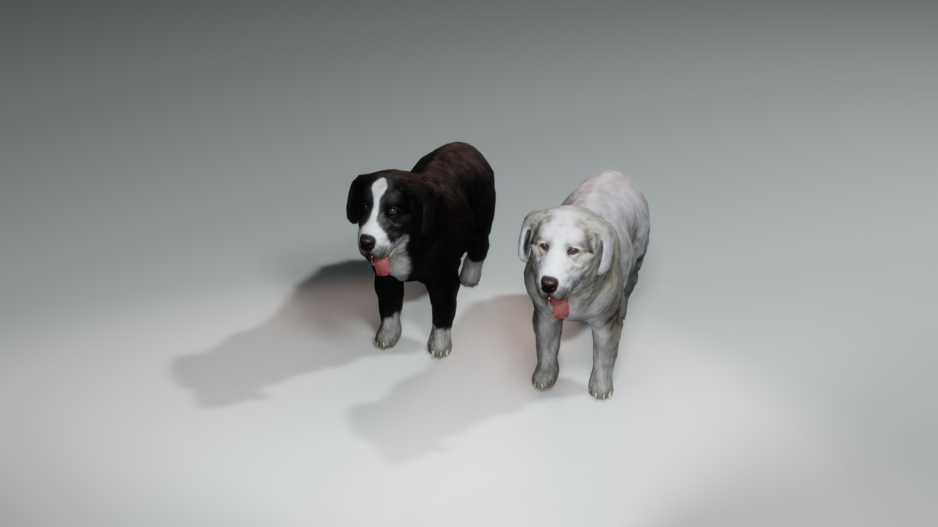 Sheepdog DOG 3D model - TurboSquid 2080327